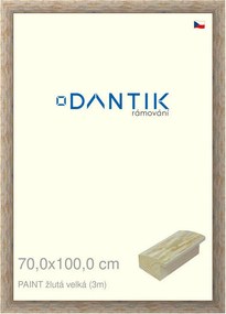 DANTIK rámeček 70x100 | PAINT žlutá velká (Plexi Čiré)