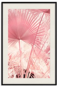 Plakát Růžové palmy - pastelově zbarvené listy za slunečného dne