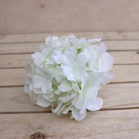 Květ hortenzie bílá, 6 ks