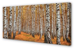 Obrazy na plátně podzimní stromy 100x50 cm