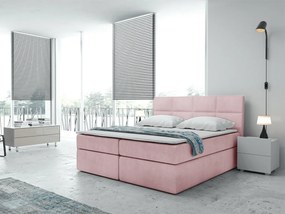 Kontinentální čalouněná postel 160x200 cm Nica Barva: Růžová - Trinity 19