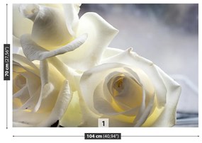 Fototapeta Bílé růže