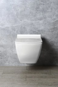 Isvea, PURITY WC sedátko, SLIM, Soft Close, bílá, 40S80200I
