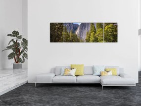 Obraz - Pod Yosemite skálou (170x50 cm)