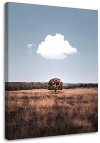 Obraz na plátně Stromové pole Krajina - 70x100 cm