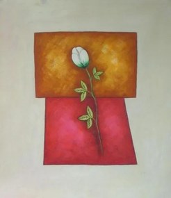 Bíla růže - 200 x 150 cm