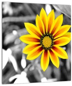 Obraz žluté květiny (30x30 cm)