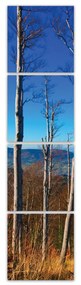 Malvis ® Obraz Cestou z Lysé hory Velikost (šířka x výška): čtyřdílný vertikální - 25x100 cm