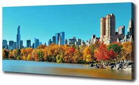 Wallmuralia Foto obraz na plátně New York podzim 100x50