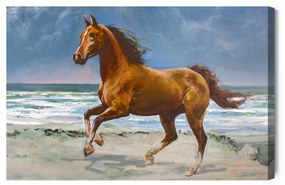 Obraz Kůň, Slunce A Moře Nedostatek Nedostatek Přírodní plátno 100x70