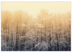 Skleněný obraz mrazivého lesa (70x50 cm)