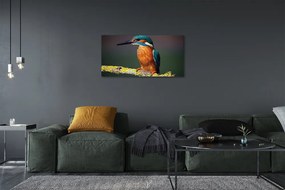 Obrazy na plátně Barevný pták na větvi 125x50 cm