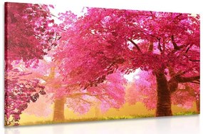 Obraz kouzelné rozkvetlé stromy třešně Varianta: 120x80