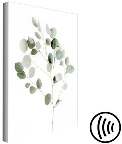 Obraz Stříbrný eukalyptus (1-dílný) svislý - krajina vegetace na bílém pozadí v boho stylu
