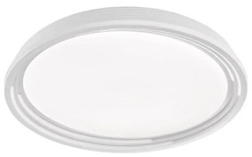 Fischer & Honsel | Fischer & Honsel 20807 - LED Stmívatelné stropní svítidlo DUA LED/22W/230V | FH20807