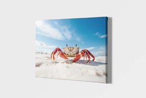 Obraz na plátně - červený krab na písečné pláži FeelHappy.cz Velikost obrazu: 120 x 80 cm