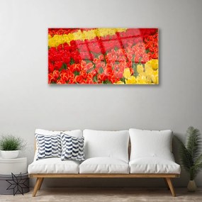 Obraz na skle Tulipány Květiny 120x60 cm