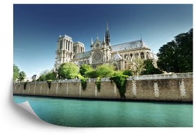 Fototapeta Paříž – Notre-Dame Omyvatelný vlies 104x70.5