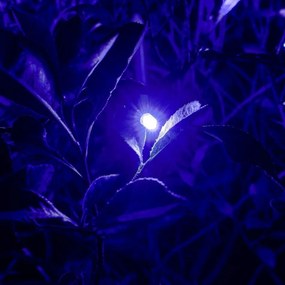 Hobby Line LED světelný řetěz, venkovní, 4 m, modrý, 32 diod, tmavě zelený kabel, IP44, prodlužovací