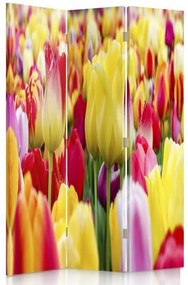 Ozdobný paraván, Pestrobarevné tulipány - 110x170 cm, třídílný, klasický paraván
