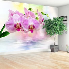 Fototapeta Orchidej růže 104x70