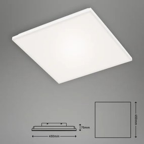 Briloner 7378-116 - LED Stmívatelné stropní svítidlo FRAMELESS LED/24W/230V + DO