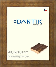 DANTIK rámeček 40x50 | TRITON široký zlatý (Plexi Čiré)
