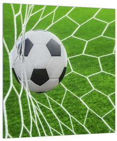 Obraz fotbalového míče v síti (30x30 cm)
