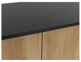 TV stolek Oksawi 1K1D, Barva dřeva: dub artisan / černý
