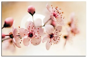 Obraz na plátně - Malé květy na větvi 1173A (100x70 cm)