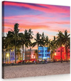 Obraz 80x80 Západ slunce Miami Beach palmy oceán zářivý tropický pláž