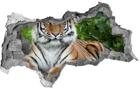 Wallmuralia Díra 3D fototapeta nálepka Sibiřský tygr 95x73 cm