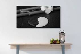 Obraz Spa zátiší se symbolem Jin a Jang v černobílém provedení - 120x60 cm