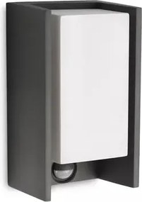 Philips Bridge IR 42W antracit / Venkovní nástěnné svítidlo / E27 / IP