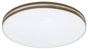 Rabalux | Rabalux 3345 - LED Stropní svítidlo OSCAR LED/18W/230V | RL3345