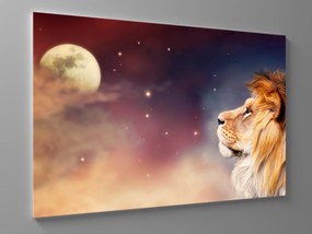 Liox Obraz lev a měsíc Rozměr: 100 x 65 cm