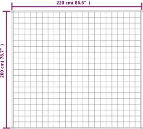 Zátěžová deka šedá 200 x 220 cm 13 kg textil 3154787