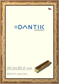 DANTIK rámeček 20x30 | BEAUTY zlatá (Sklo Čiré)