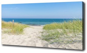 Wallmuralia Foto obraz tištěný na plátně Mořské duny 100x50