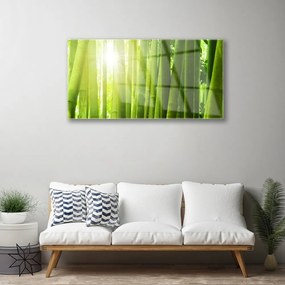 Obraz na skle Bambus Rostlina 125x50 cm