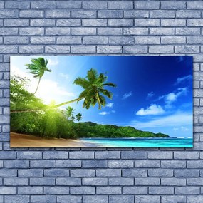 akrylový obraz Pláž Moře Palma Krajina 120x60 cm