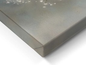 Tištěný obraz na plátně 32x32 cm Gypsophila – Styler