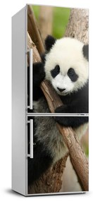 Wallmuralia Nálepka fototapeta lednička Panda na stromě 60x180 cm