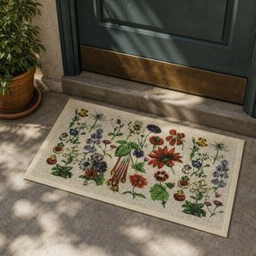 Rohožka 40x70 cm Botanicals – Artsy Doormats