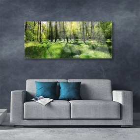 Plexisklo-obraz Les Tráva Rostlina Příroda 125x50 cm