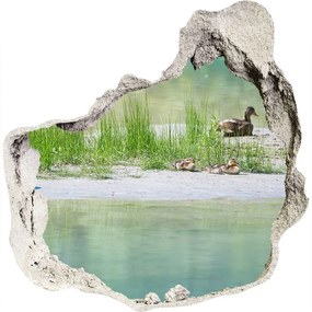 Wallmuralia Díra 3D fototapeta nálepka Kachny nad vodou 75x75 cm