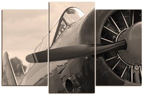 Slika na platnu - WWII avion s propelerom 1125FC (150x100 cm)
