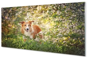 akrylový obraz Psí lesní květiny 100x50 cm