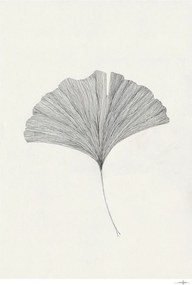 Plakát 50x70 cm Ginkgo Leaf – Ana Frois – The Poster Club