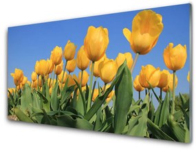 akrylový obraz Tulipány Květiny Rostlina 120x60 cm